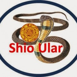 Inilah Peruntungan 12 Shio di Tahun Monyet Api 2016 - TIONGHOA.INFO